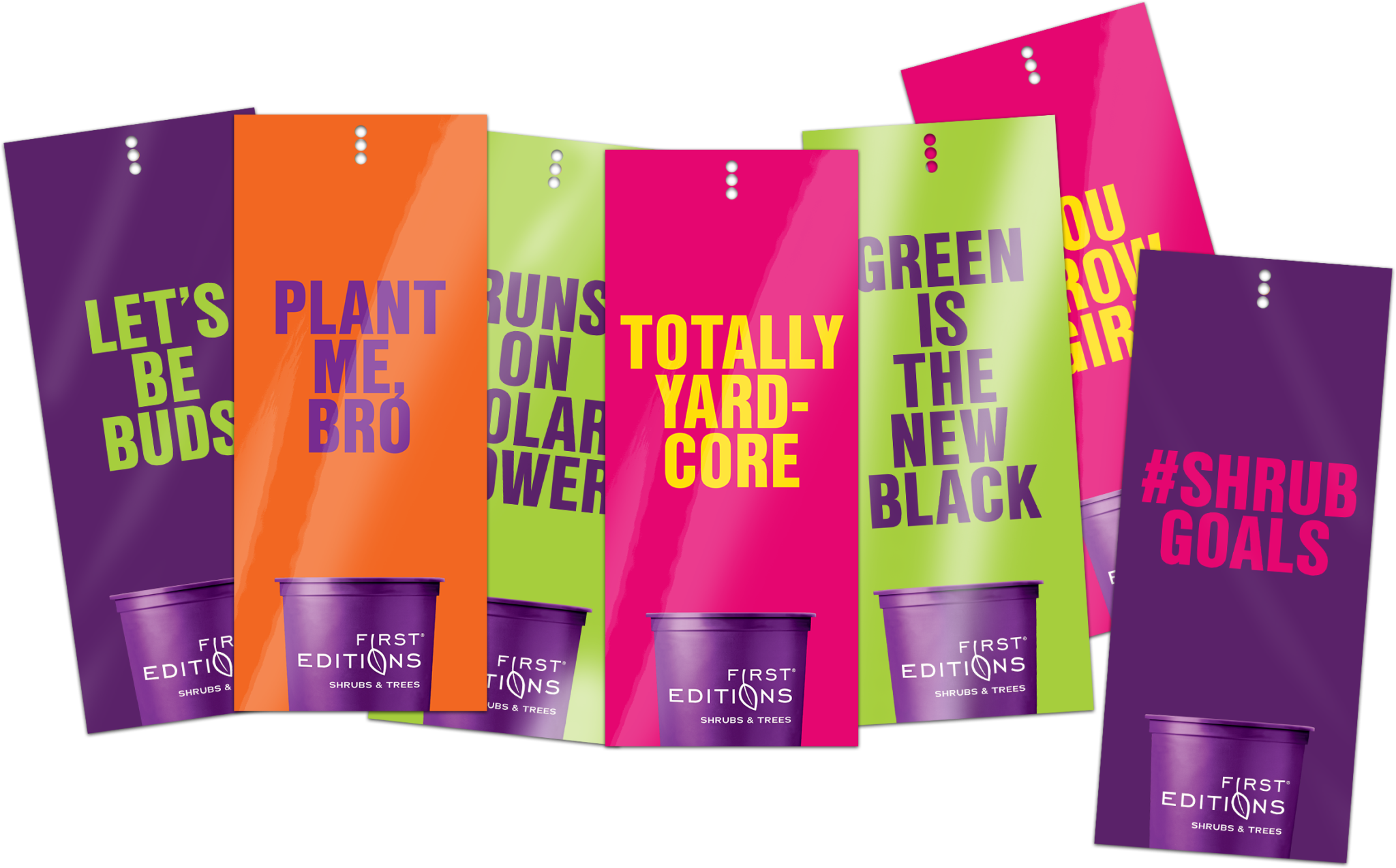 About First Editions Plants From Bailey Nurseries