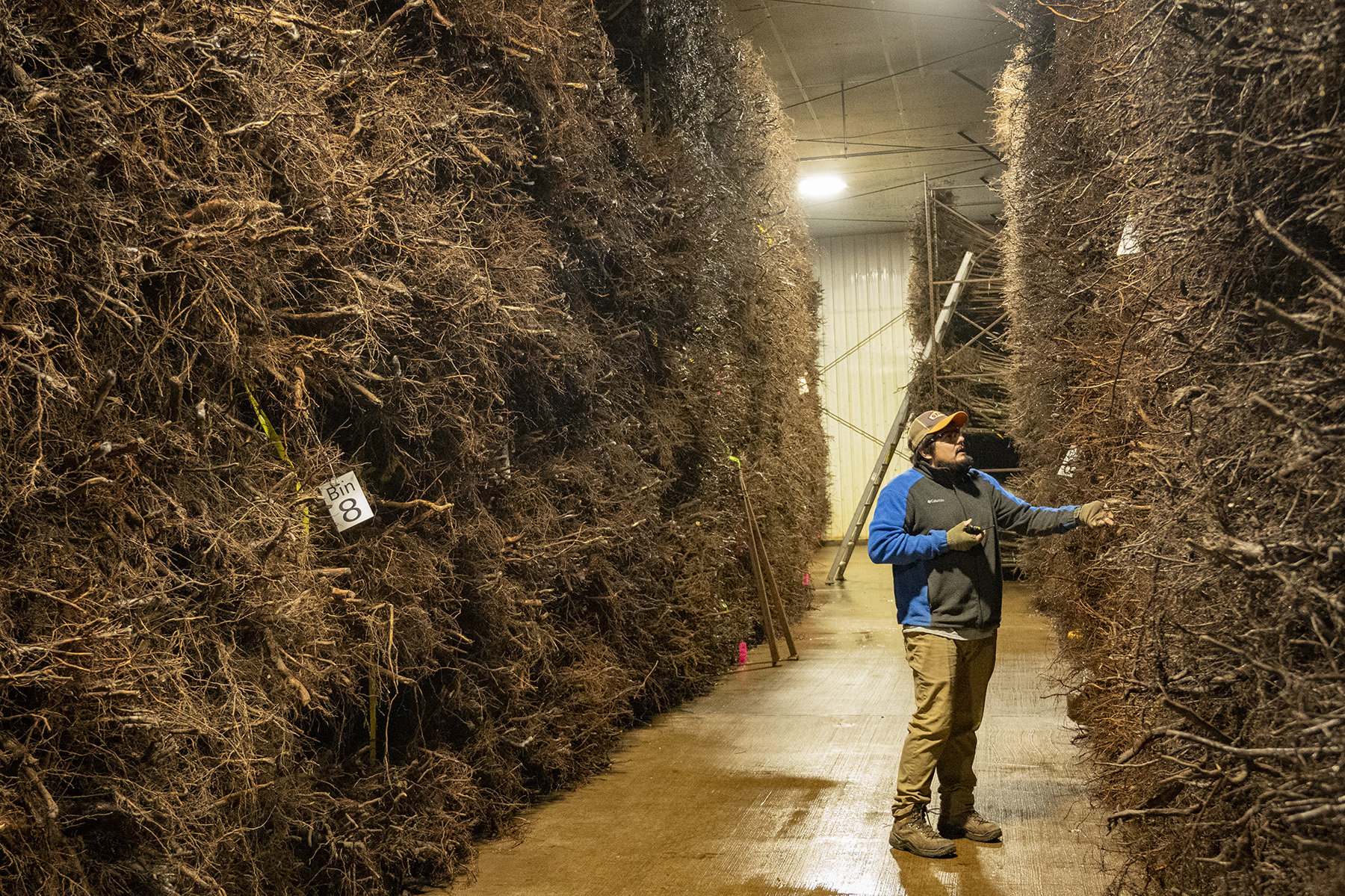 Powering Down: Energy Conservation at Bailey Nurseries | Bailey Nurseries